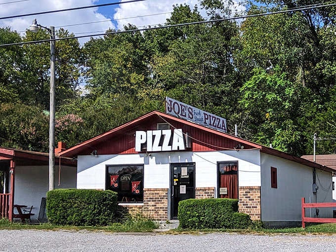 Nestled among the trees, this unassuming pizza spot proves the best pies often come from the most unexpected places.