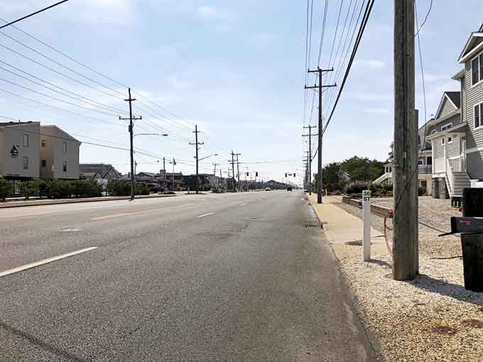 Wide open roads stretch toward the horizon, giving you that "endless summer" feeling even in October.