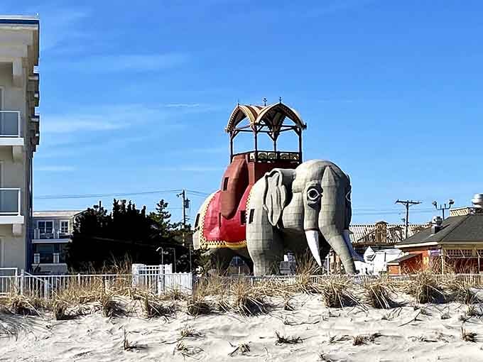 Nothing says "Jersey Shore icon" quite like a giant elephant chilling on the beach in her red saddle blanket.