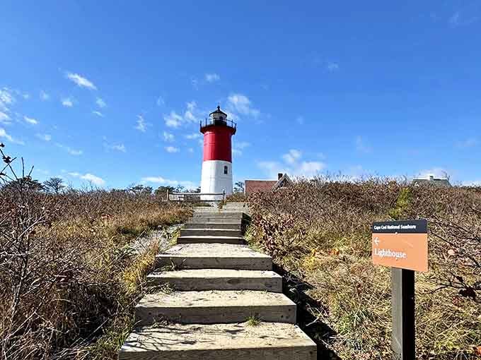 Those weathered wooden steps climbing through beach grass lead you to one of the most photographed lighthouses around.