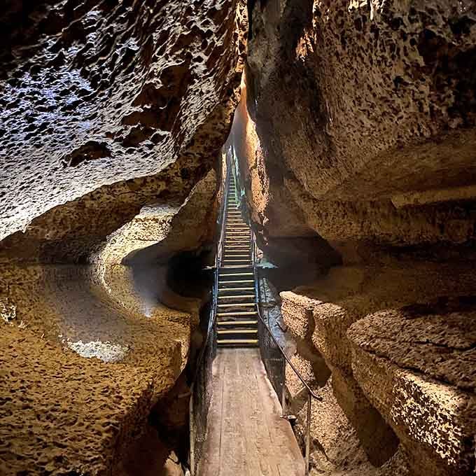 That wooden walkway stretching into darkness promises an adventure Jules Verne would've written about with pure delight.