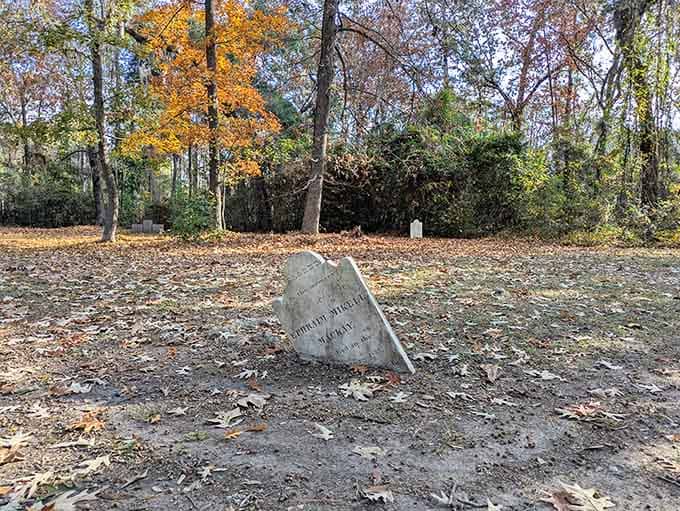 Time has tilted this old marker, but the forest keeps watch over memories that refuse to fade away.