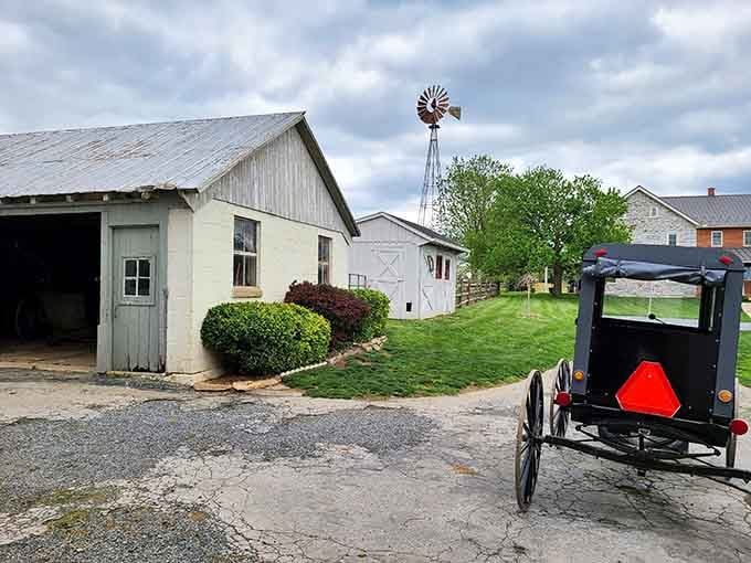 The buggy parked by weathered barns creates a postcard-perfect scene that hasn't changed much in a hundred years.