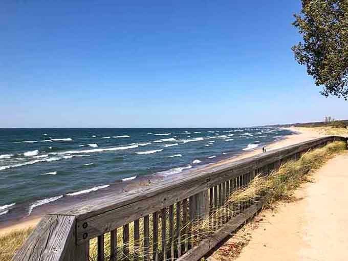 Lake Michigan's gentle waves kiss the shore while dramatic dunes stand guard like ancient sentinels watching over paradise.