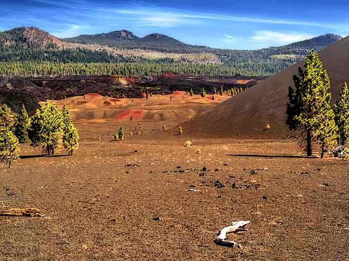 The contrast between black lava and colorful ash creates a landscape that belongs in a science fiction movie set.