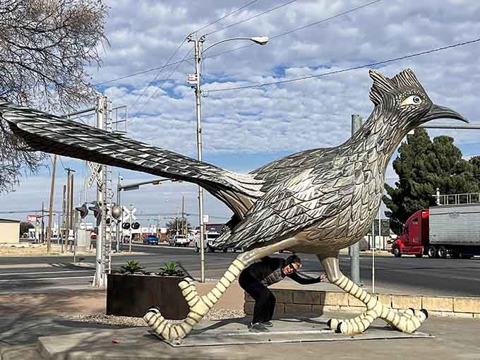 Those sculpted tail feathers and determined expression make this roadrunner look ready to outrace Wile E. Coyote himself.