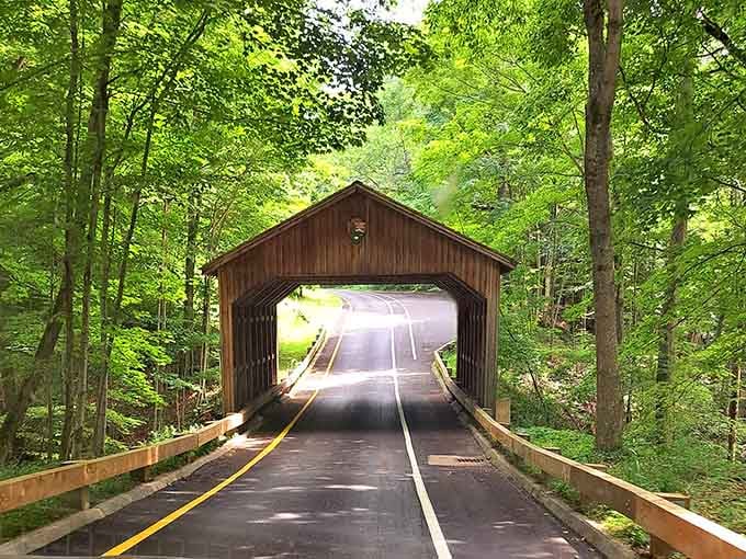 Sunlight filters through the wooden bridge, casting shadows that dance across the pavement like nature's own light show.
