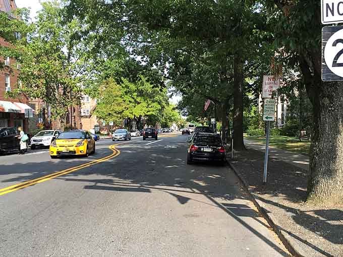 Tree-lined streets dappled with afternoon shadows make every walk through Princeton feel like a stroll through academic history.