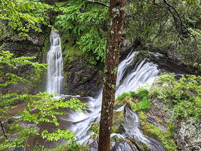 Twin waterfalls tumble through emerald forest like something from a fairy tale, framed perfectly by spring greenery.