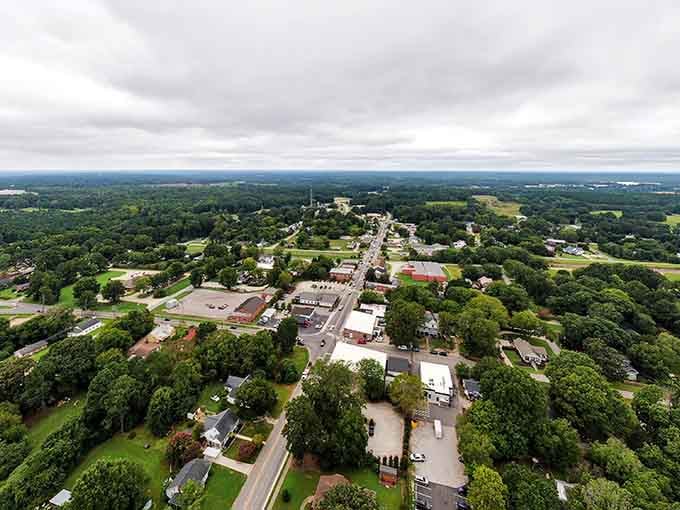 From above, a canopy of lush trees fills the streetscape, proving that natural beauty can thrive without a lavish budget.
