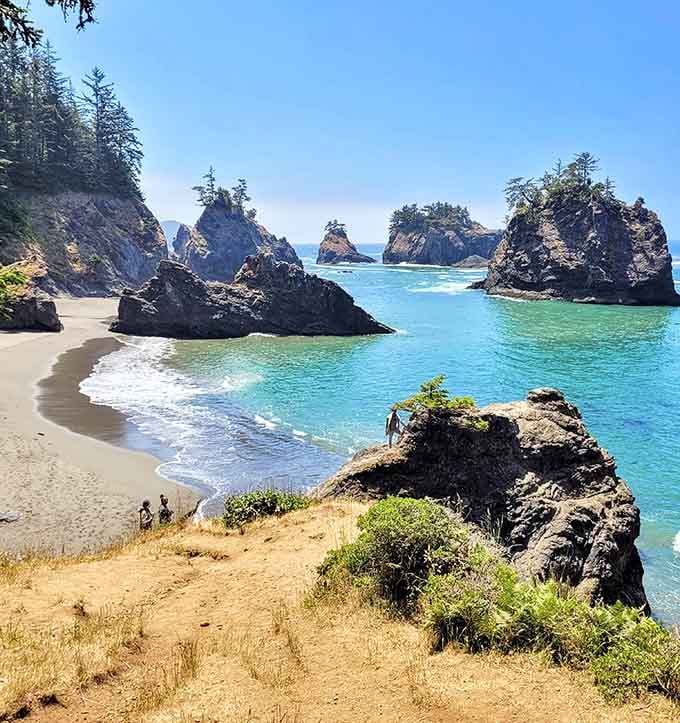 Tree-topped sea stacks rising from impossibly blue water create a scene straight out of a fantasy novel.