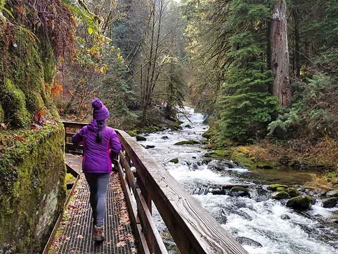 Purple jacket, rushing creek, and a sturdy footbridge combine for the perfect Pacific Northwest hiking moment captured.