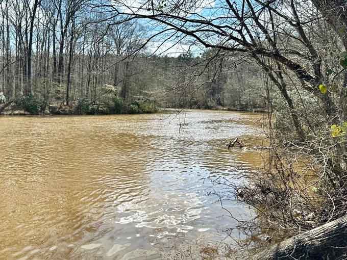 Sweetwater Creek's amber waters flow past ancient mill ruins, blending history with natural beauty perfectly.