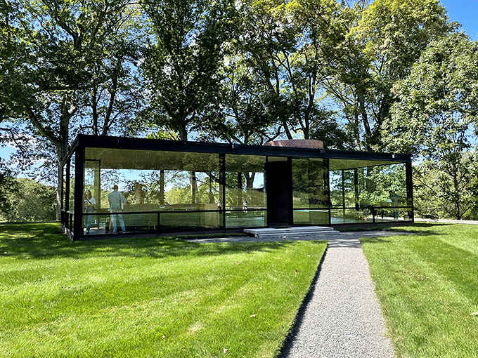 Clean lines and transparent walls invite the surrounding trees to become part of the living space.