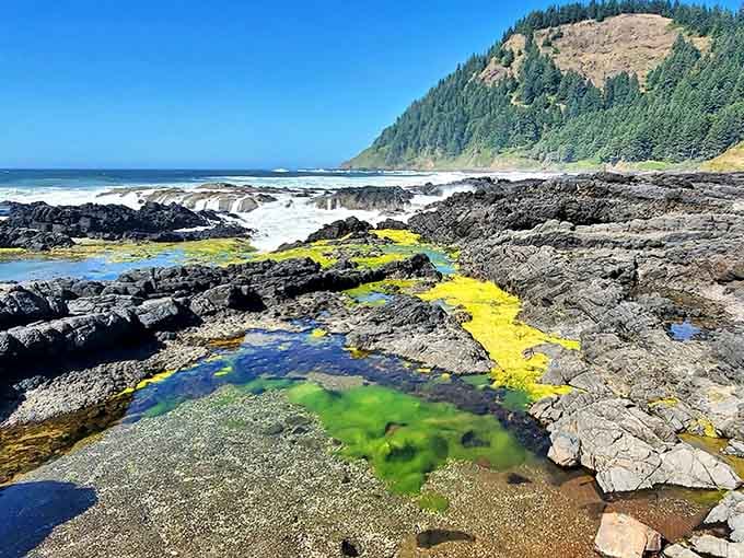 Tide pools glow electric yellow and green like nature's own lava lamp from the groovy seventies.