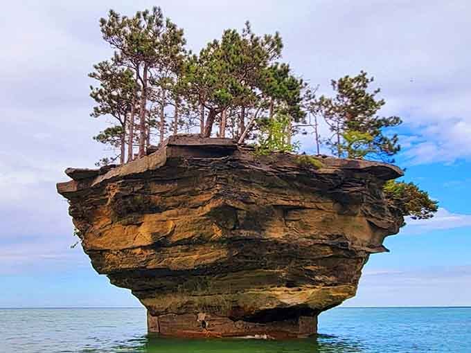 Trees grow from solid stone like determined optimists, proving that life finds a way in the most unlikely places.