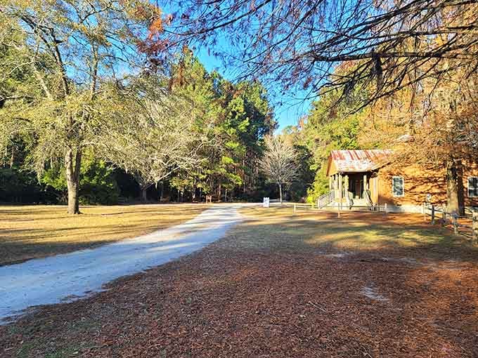 This rustic cabin sits peacefully among towering pines, looking like something straight out of a Waltons episode.