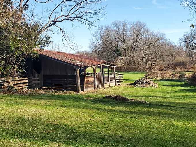 This rustic shelter offers a glimpse into the simple structures that provided refuge for frontier soldiers preparing for battle.