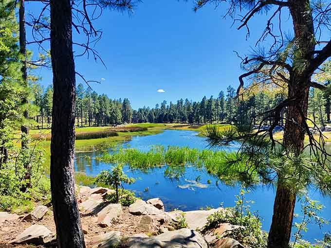That perfect little lake tucked among the pines looks like someone's screensaver come to life.