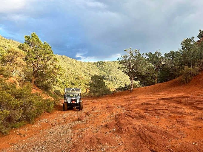 Your chariot awaits, ready to take you where regular vehicles fear to tread through Sedona's stunning backcountry.