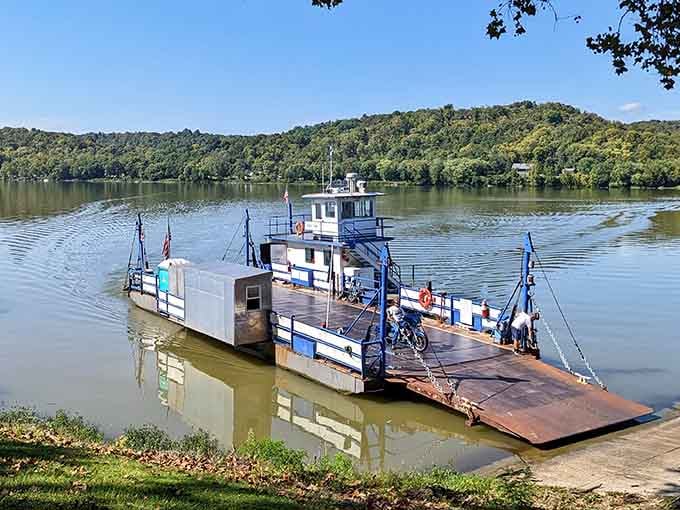 The Augusta Ferry has been shuttling folks across the Ohio River longer than most of us have been alive.