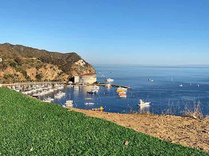 The kind of harbor view that makes you understand why people chuck their sensible lives for island living.