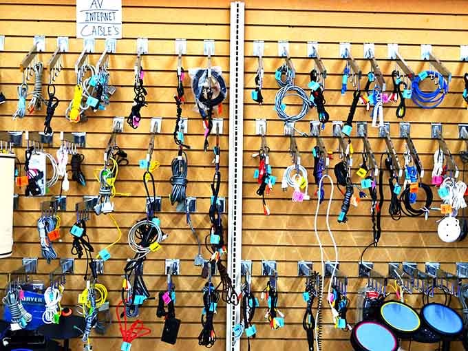 Cable chaos organized into colorful harmony, because even your internet deserves accessories that don't cost a fortune.