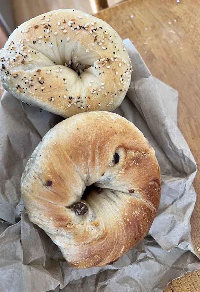 One everything, one cinnamon raisin: the eternal breakfast debate, beautifully golden and ready to settle any argument.