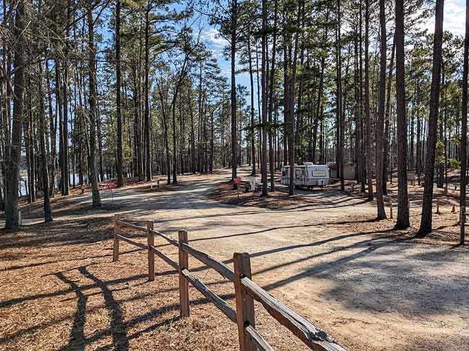 Spacious campsites nestled among the pines where your nearest neighbor isn't breathing down your neck.