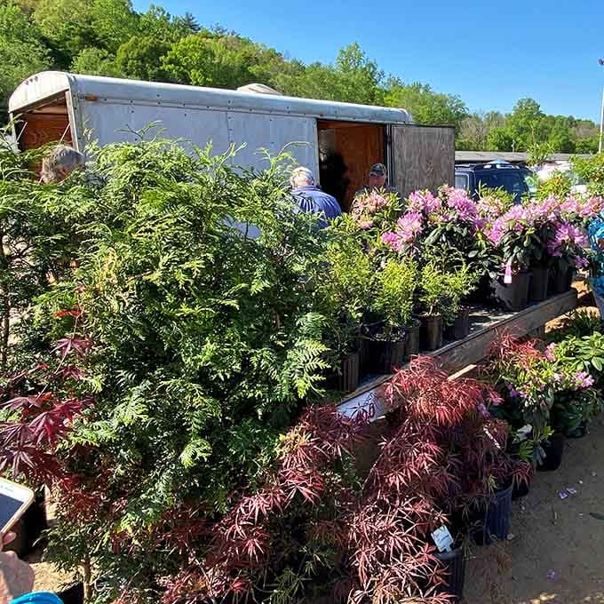 Spring brings nursery vendors with enough greenery to turn your brown thumb into something resembling competence, finally.