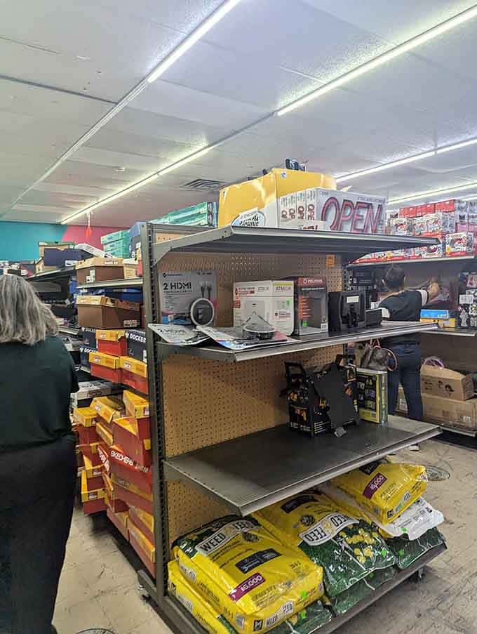 Electronics and outdoor gear share shelf space in this wonderfully chaotic display of discount store democracy at work.