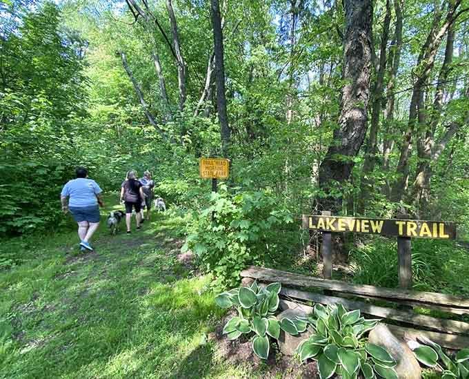 The Lakeview Trail beckons hikers forward, promising scenery that'll make your phone's camera work overtime for once.