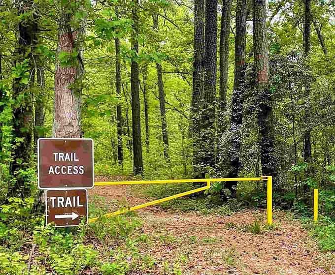 When the trail beckons with that yellow gate, you know adventure awaits without requiring a sherpa or expensive hiking boots.