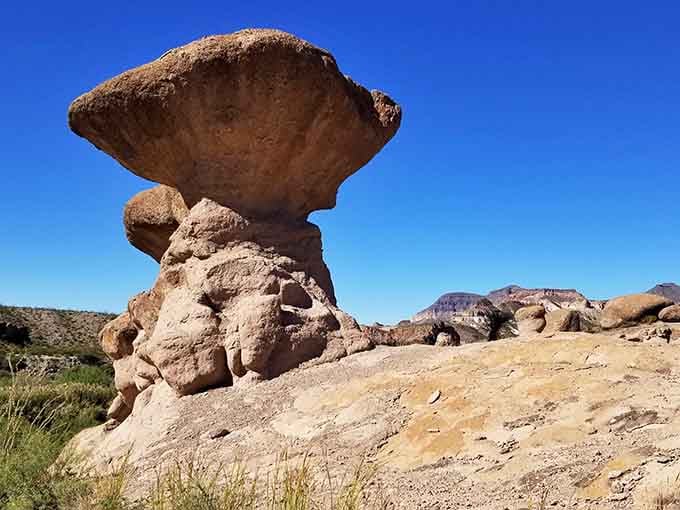 This hoodoo looks like Dr. Seuss designed desert sculptures, balancing impossibly against the brilliant blue sky.