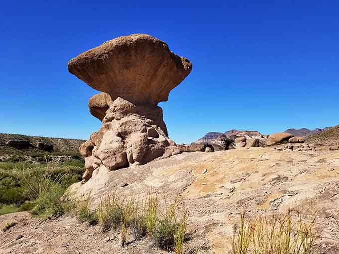 This mushroom-shaped rock formation proves that nature has a better sense of whimsy than any modern sculptor.