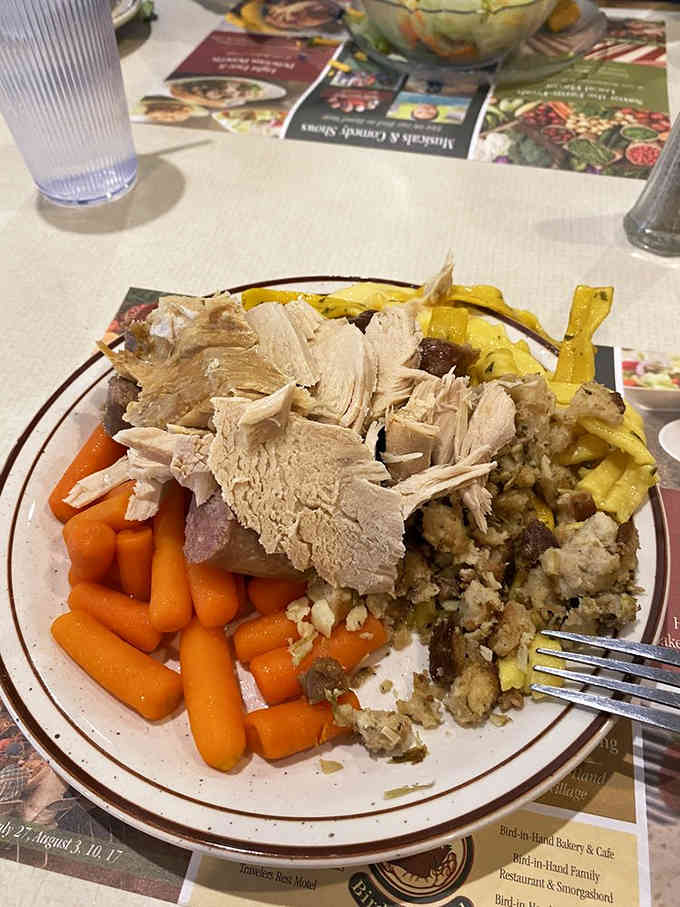 Turkey, carrots, and all the fixings piled high because portion control is for people with stronger willpower.