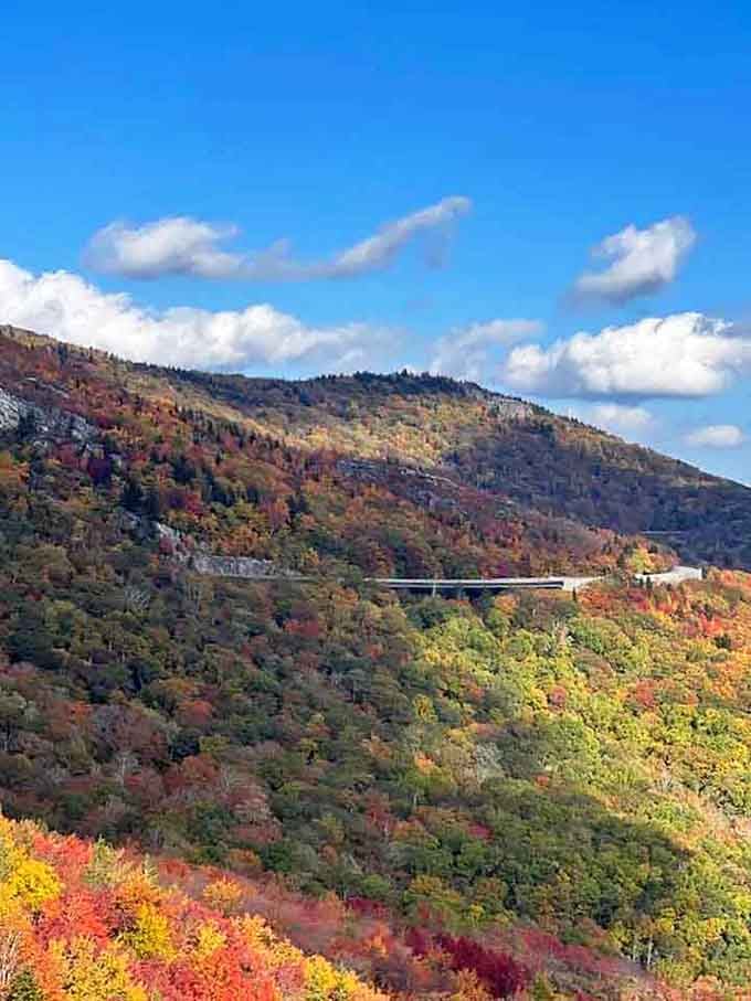 The Mountain Viaduct View snakes through fall colors like nature's own roller coaster, minus the overpriced funnel cakes.