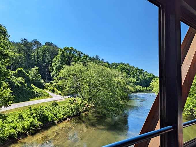 When your office view is the Toccoa River, you're winning at life in ways spreadsheets can't measure.