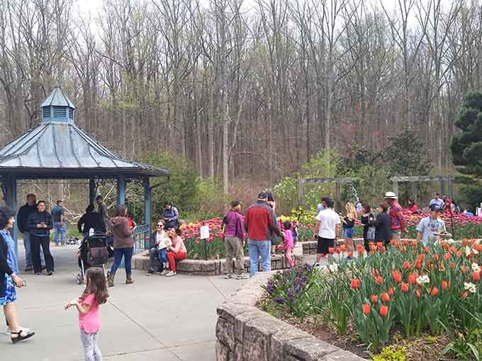 Proof that gardens bring people together better than most family reunions, and with significantly less drama.