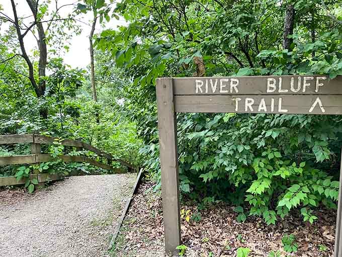 That wooden sign pointing toward river views is basically your invitation to discover Illinois' best-kept scenic secret.