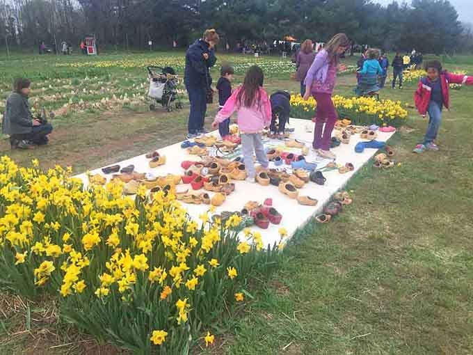 Families gather around tables surrounded by daffodils, creating memories that'll outlast any store-bought bouquet you've ever purchased.