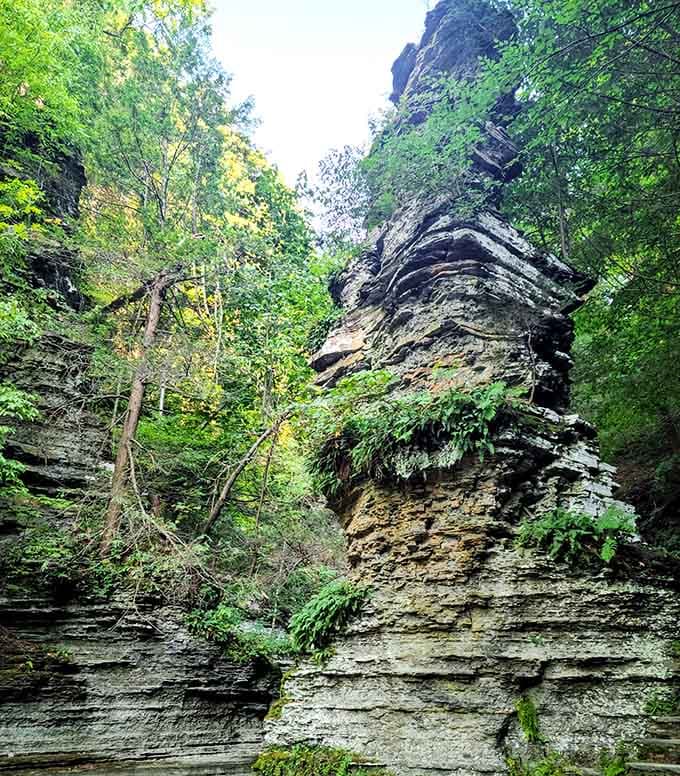 Towering rock walls showcase millions of years of geological history, making your problems seem refreshingly insignificant by comparison.