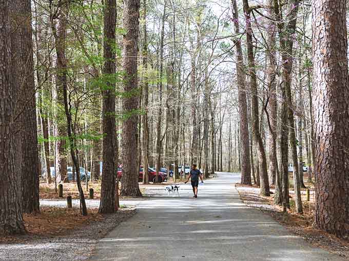 Peaceful pathways invite leisurely strolls through woods that have witnessed centuries of Texas history unfold.