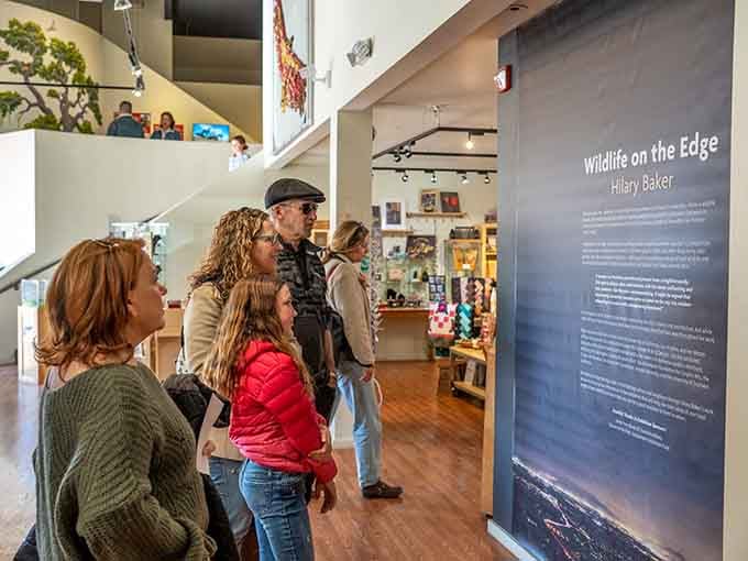 Visitors explore rotating exhibitions celebrating wilderness and natural landscapes through diverse artistic mediums.