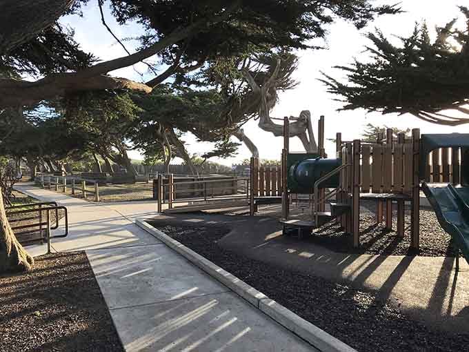 A playground with Monterey pines and ocean breezes nearby? The grandkids will actually want to visit you here.