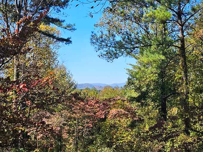 Peek-a-boo views through the foliage remind you that good things are worth the climb.