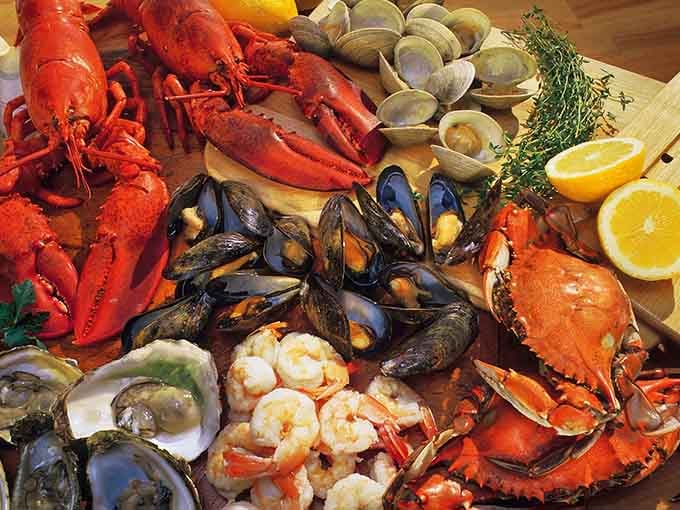 This is what the ocean's greatest hits album looks like, all arranged on one beautiful wooden board.