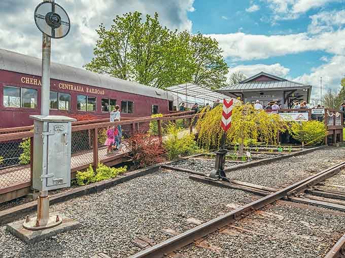 All aboard the nostalgia train where vintage locomotives remind you simpler times weren't just affordable dreams.
