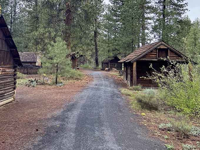 Gravel paths wind through history where loggers once walked with considerably more dangerous cargo.