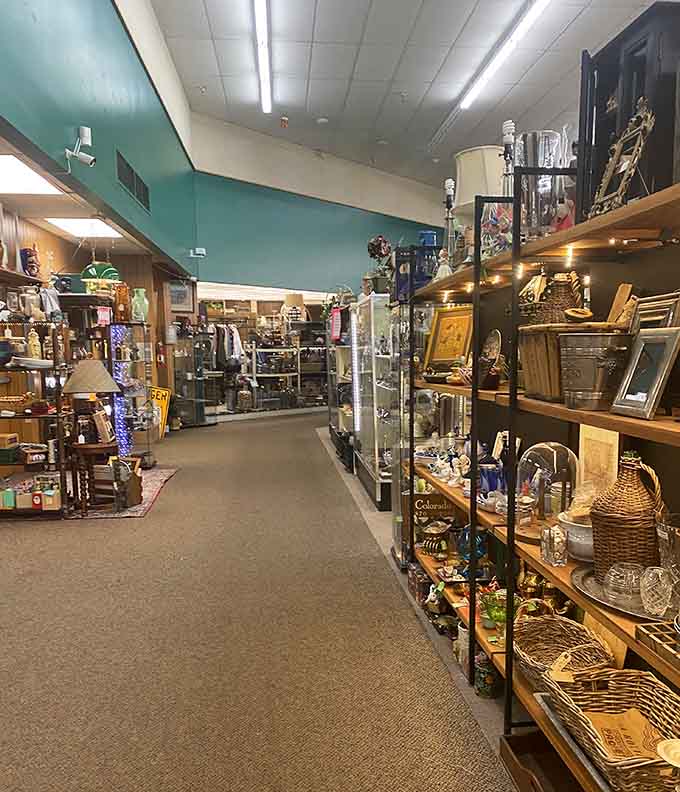 These aisles stretch on like a treasure map with no X marking the spot, just endless discovery.